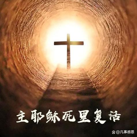 手机照片过期如何恢复