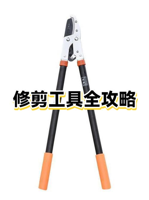 理发工具全套介绍