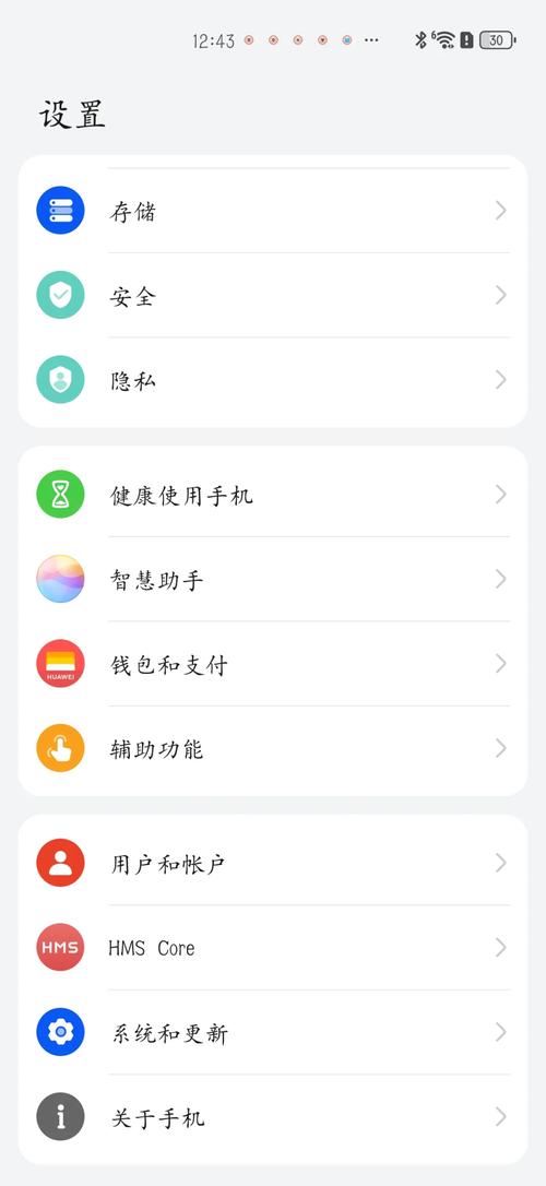 玩机取巧 纯净模式