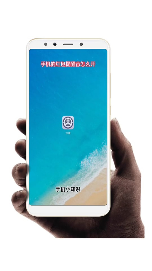 苹果手机领红包声音在哪开截图