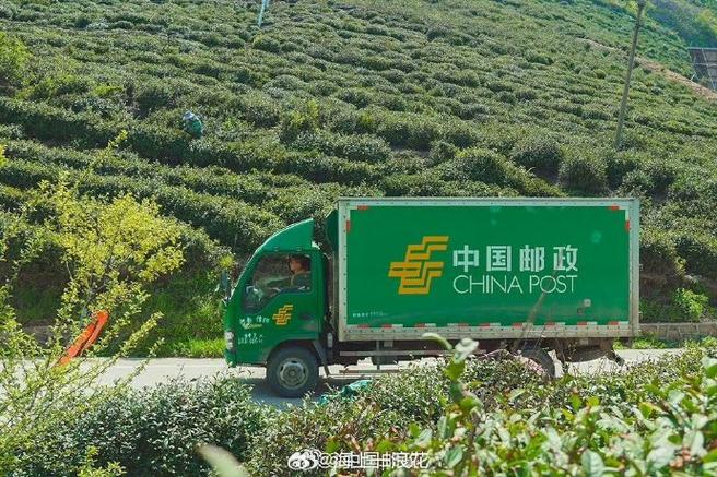 自行车邮寄用什么物流合适图标