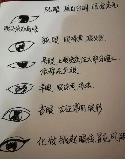 丹凤眼的眼型特征图标
