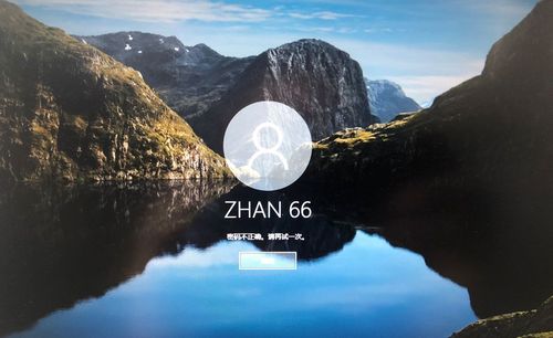 电脑输入密码界面壁纸图标