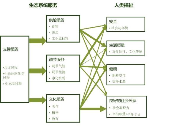 生态包括哪些截图