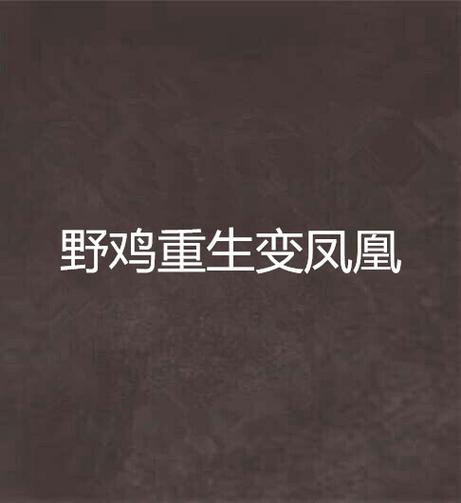 公园里的野鸡小说图标