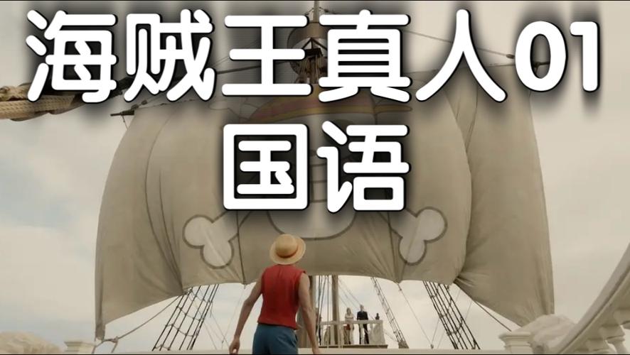 海贼王中文普通话版图标