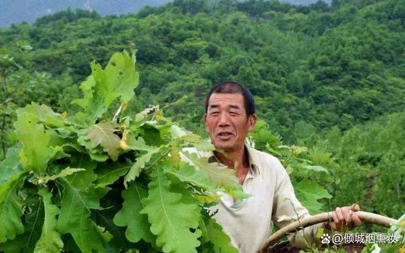 农村致富商机图标