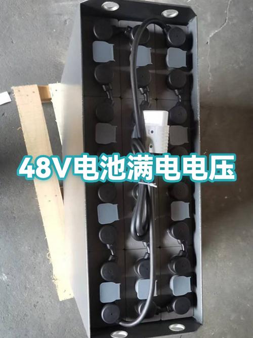 48v充满电显示多少伏图标