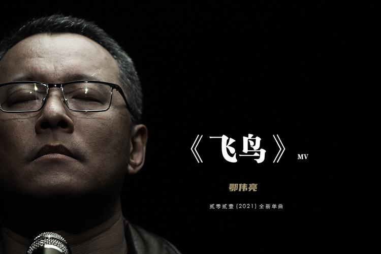 飞鸟视频在哪个电视应用下载截图