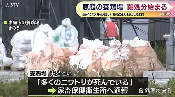 日本北海道疫情最新消息截图