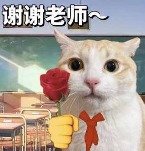谢谢老师表情包图标