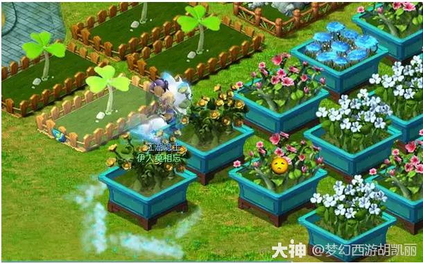 梦幻西游家园种植攻略