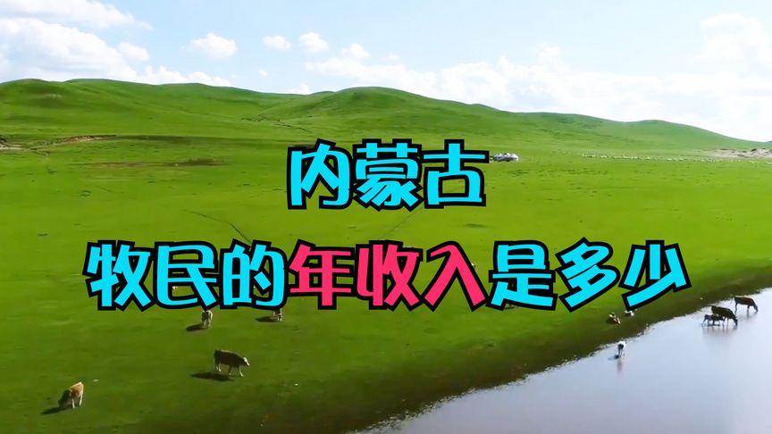 牧民一年收入多少缩略图