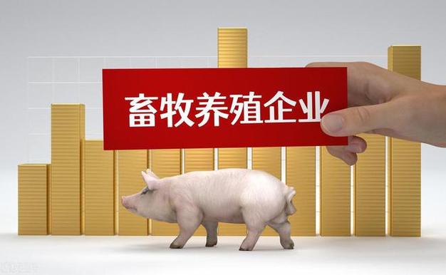 养猪的技术和养殖方法图标