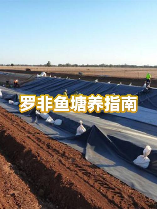 如何养鱼塘截图