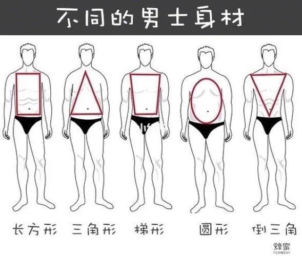 男人体型宽好不好图标
