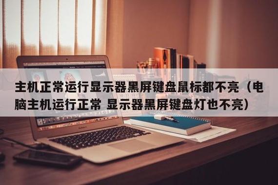 电脑显示器黑屏鼠标键盘灯也不亮
