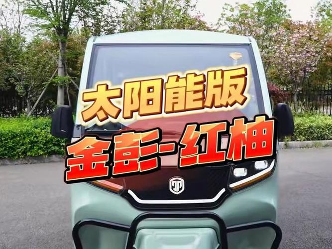 金彭电动车蓝牙功能图标