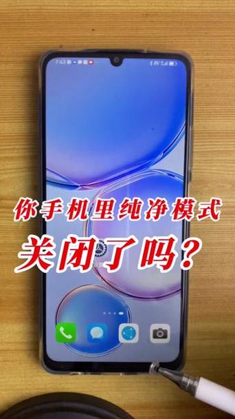oppo手机有没有纯净模式图标