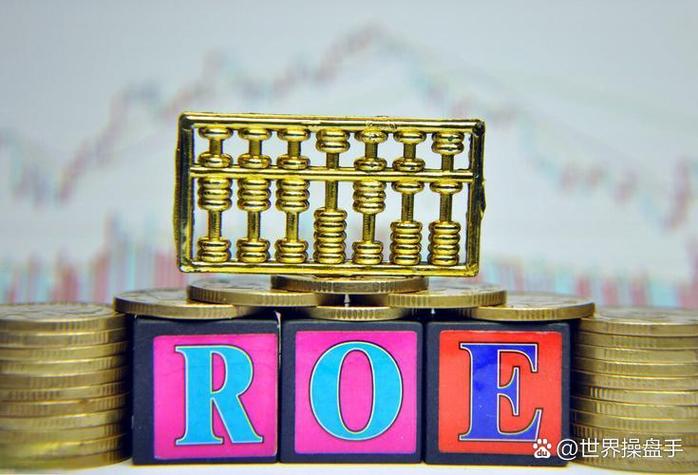 ROE是什么意思