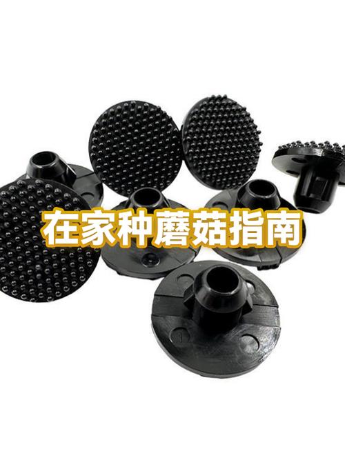 自己在家里种菇的方法截图