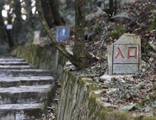云南哀牢山有多可怕图标