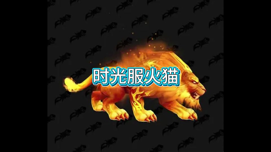 时光服猫德怎么变火猫图标