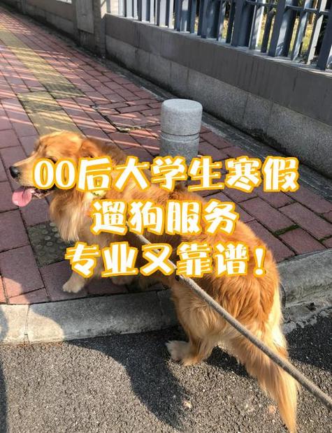 兼职遛狗的工作哪里找