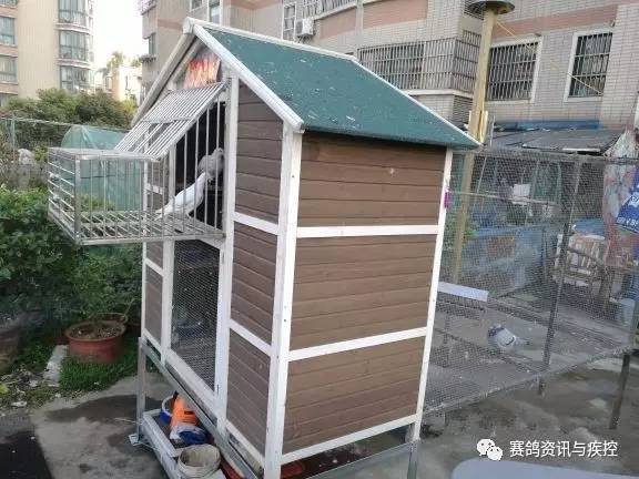 养10只鸽子的小型鸽舍图标