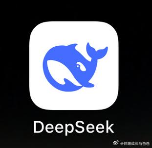 deepseek官网app图标