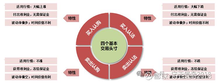 期权交易规则图标
