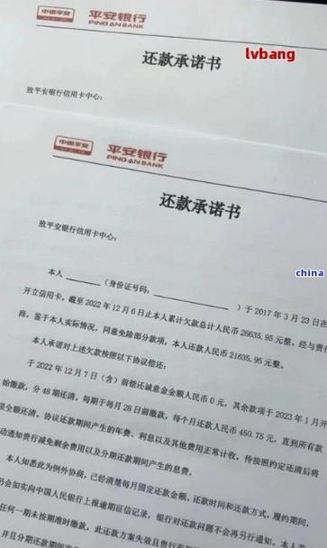 平安普惠怎么协商还款方式截图