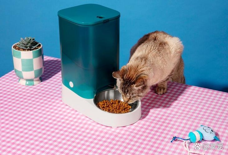 达猫小分队猫粮图标