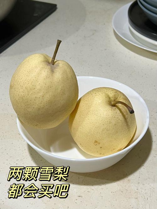 快转赚和雪梨网哪个好图标
