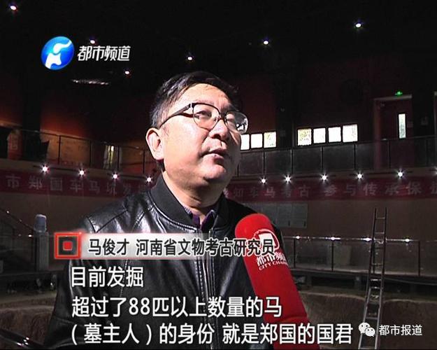 河南考古马俊才图标