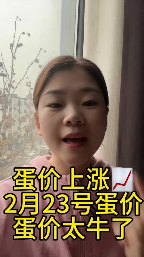 抓蛋押金多少图标