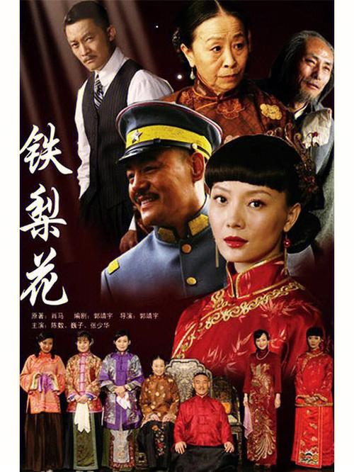 铁梨花电视剧图标