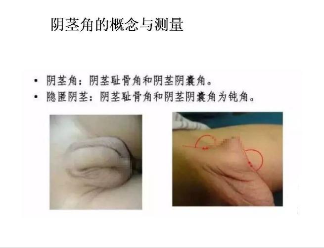 ip地址代理软件图标
