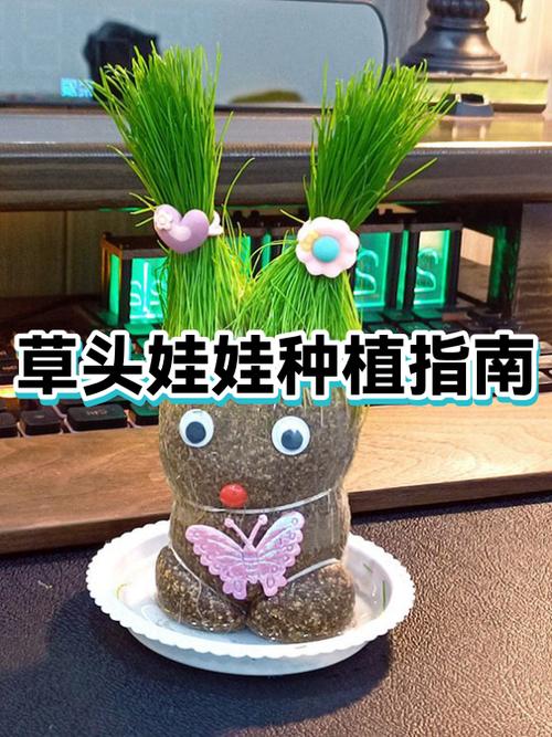 草头什么时候种最合适图标
