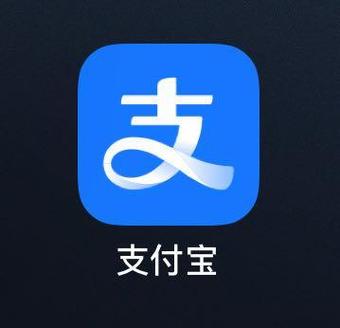 支付宝有闪付功能吗图标