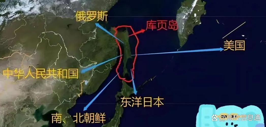 我国第一大的岛是图标