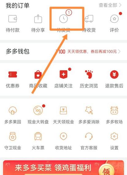 拼多多极速退款在哪里看到图标