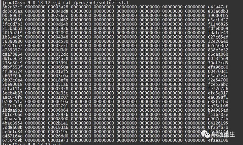 linux网卡驱动截图