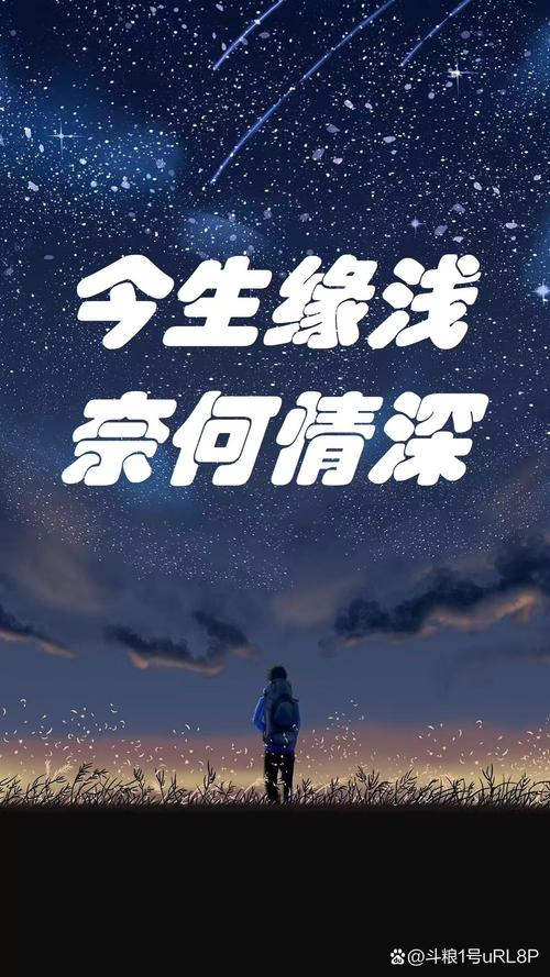 丁佩和李小龙是什么关系图标
