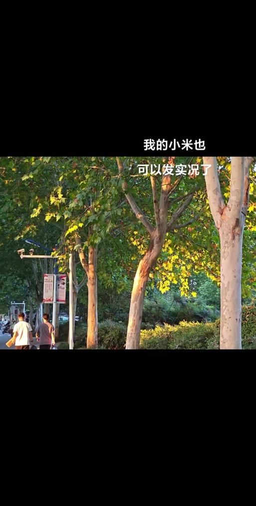 小米发实况照片给别人截图
