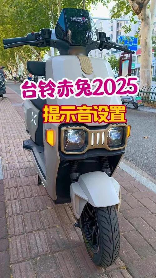台铃电量不足提示音怎么关闭图标