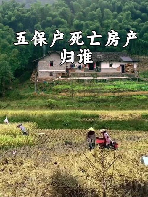 父亲死后宅基地归谁图标