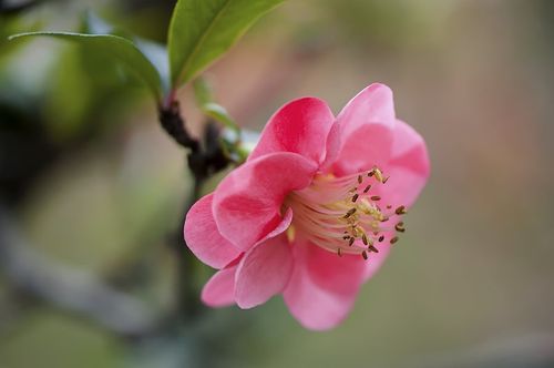 这个花花的世界是什么歌图标