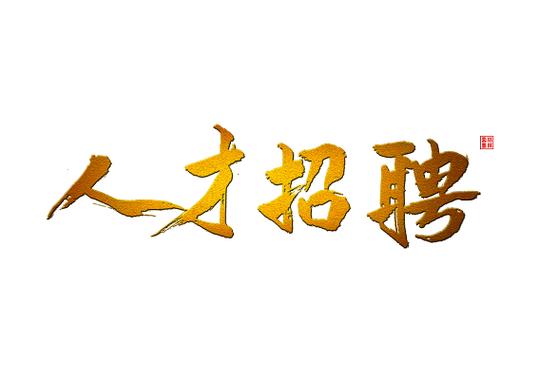 365人才招聘网图标