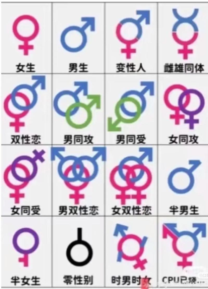 htp在性取向里代表啥